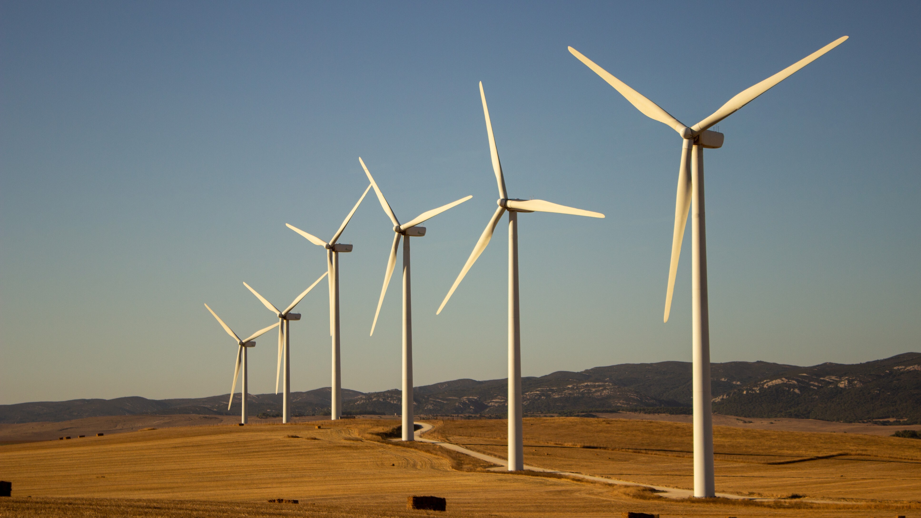 Suzlon Energy Block Deal: Goldman Sachs, Motilal Oswal, Mutual Funds ...