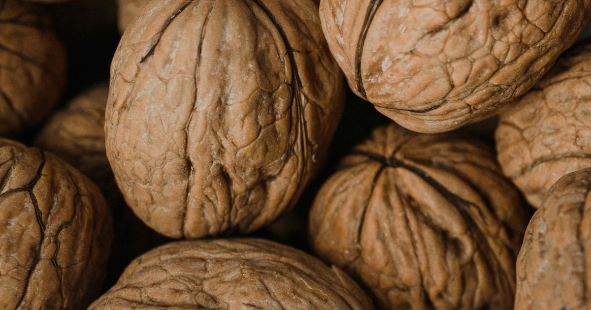 Nutrients Necessary For The Brain