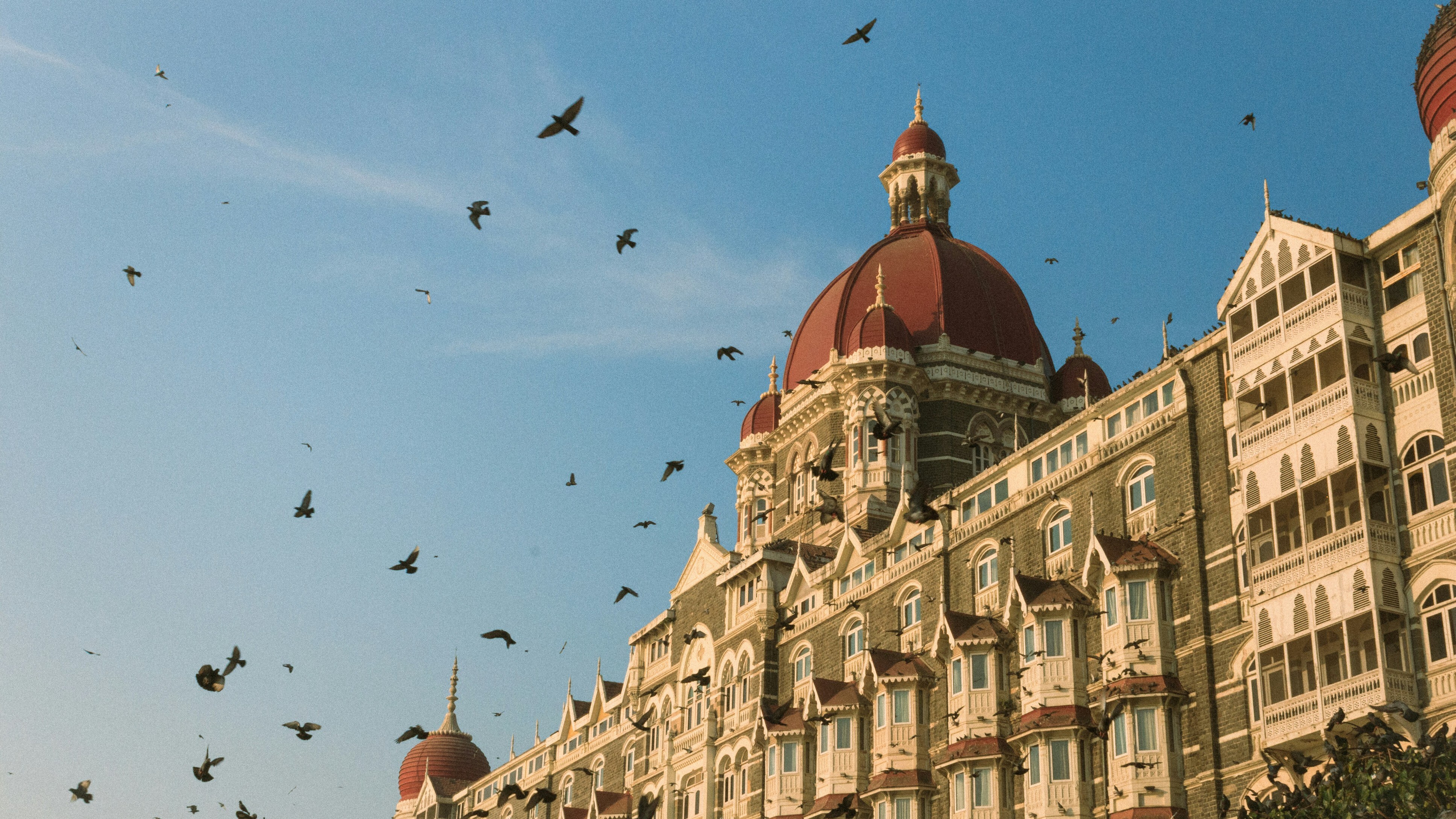 Indian Hotels Share Price Falls Despite Strong Q3 Results, Positive ...