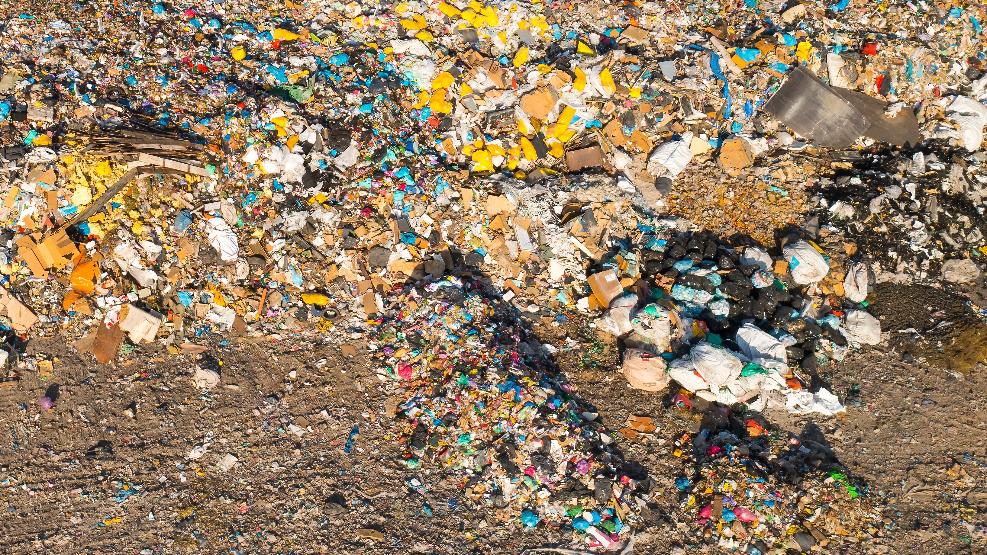 Microplastics Are Invading Your Bones, Brains And Other Organs With ...