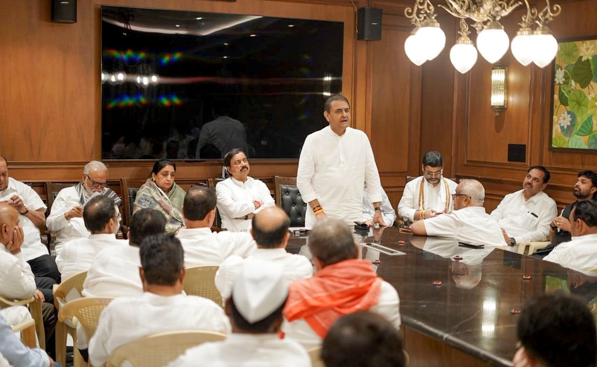 Sunetra Pawar, Ajit Pawar: Raj Thackeray's "Patil, Not Patel" Jab Amid ...