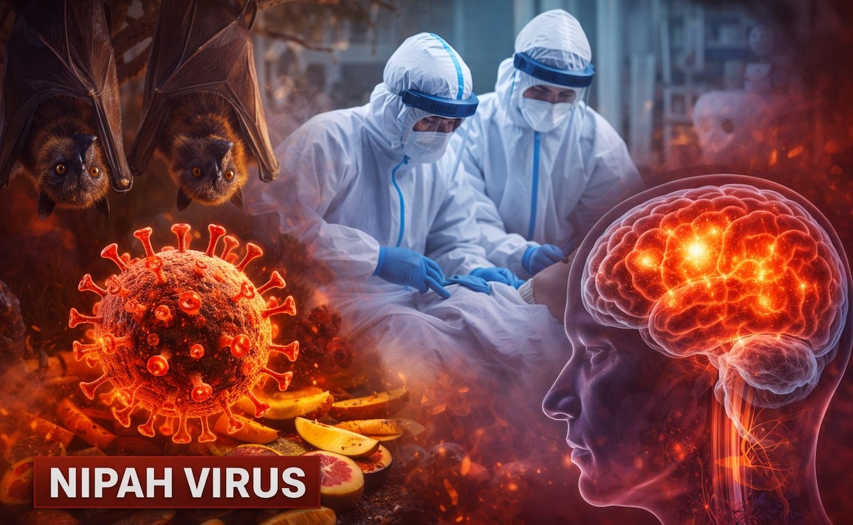 Health News Nipah Virus Outbreak Nipah Virus Causes Nipah Virus ...