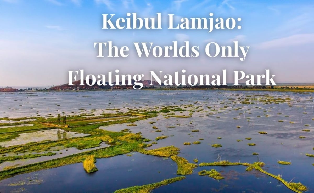 Keibul Lamjao: The World's Only Floating National Park Is Right Here In ...