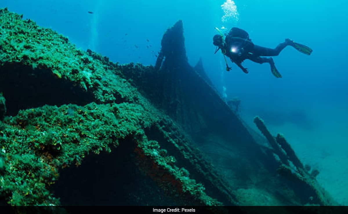 Denmark Archaeologists Discover The World's Largest Medieval Cargo Ship