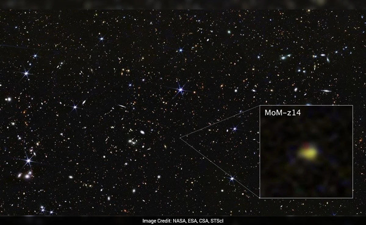 James Webb Space Telescope Spots Most Distant Galaxy That Existed 280 ...