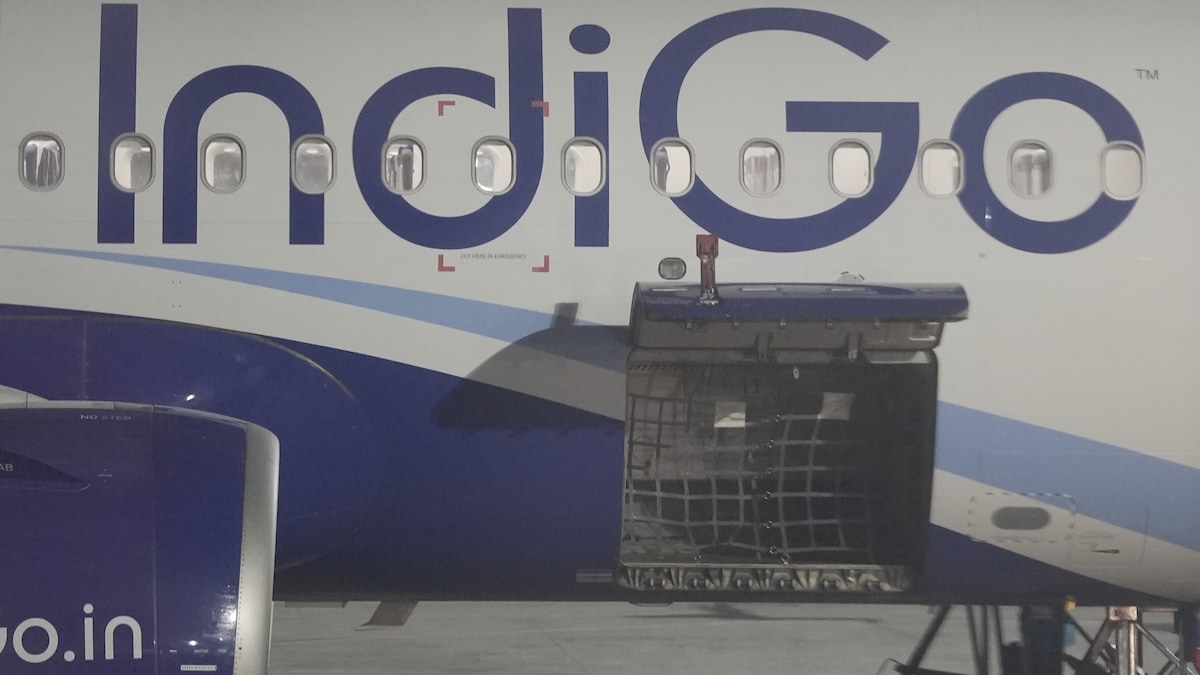 IndiGo Q3 Results: Date, Earnings Call Details, Share Price History And ...