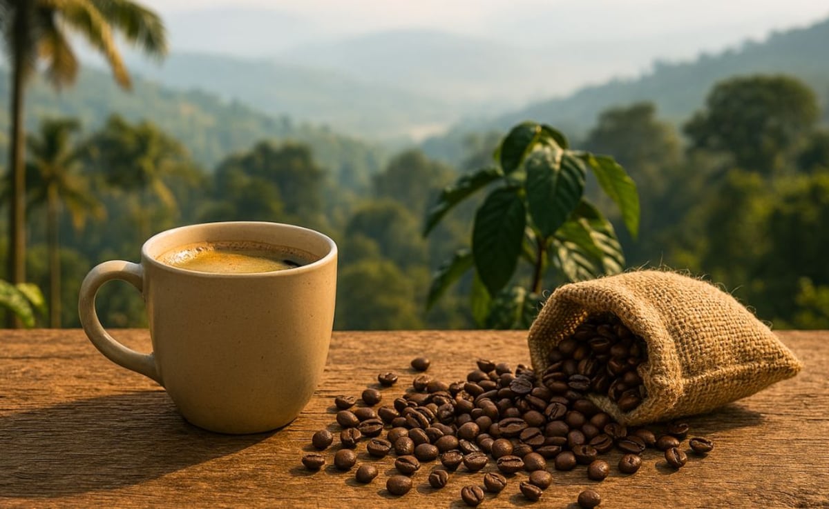 5 Scenic Coffee Destinations In South India Perfect For Your Next Getaway