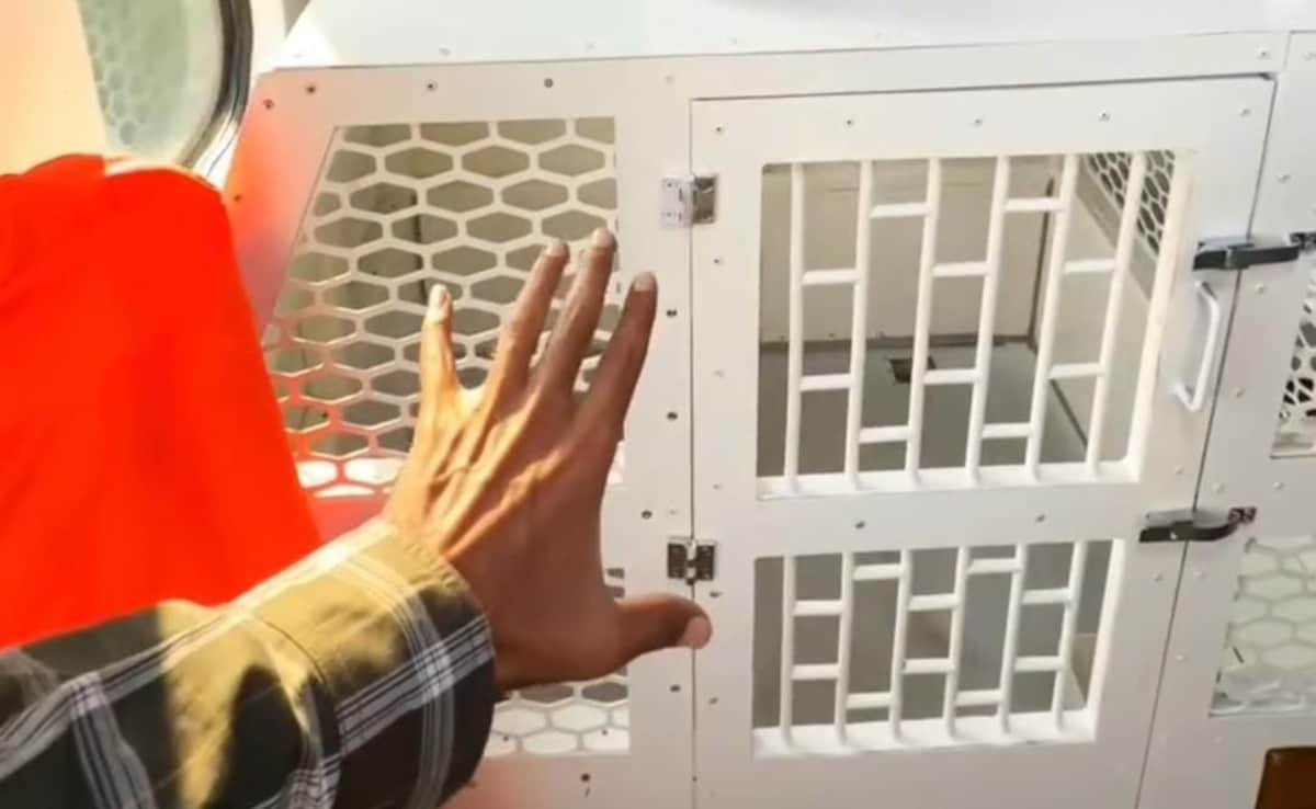 Viral Video On Vande Bharat Sleeper's Pet Box Facility Sparks Online Debate