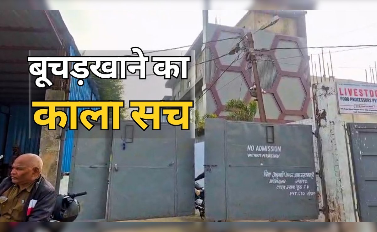 MP में गोवध पर रोक ,लेकिन भोपाल के बूचड़खाने में सैकड़ों गायों का कत्ल ...