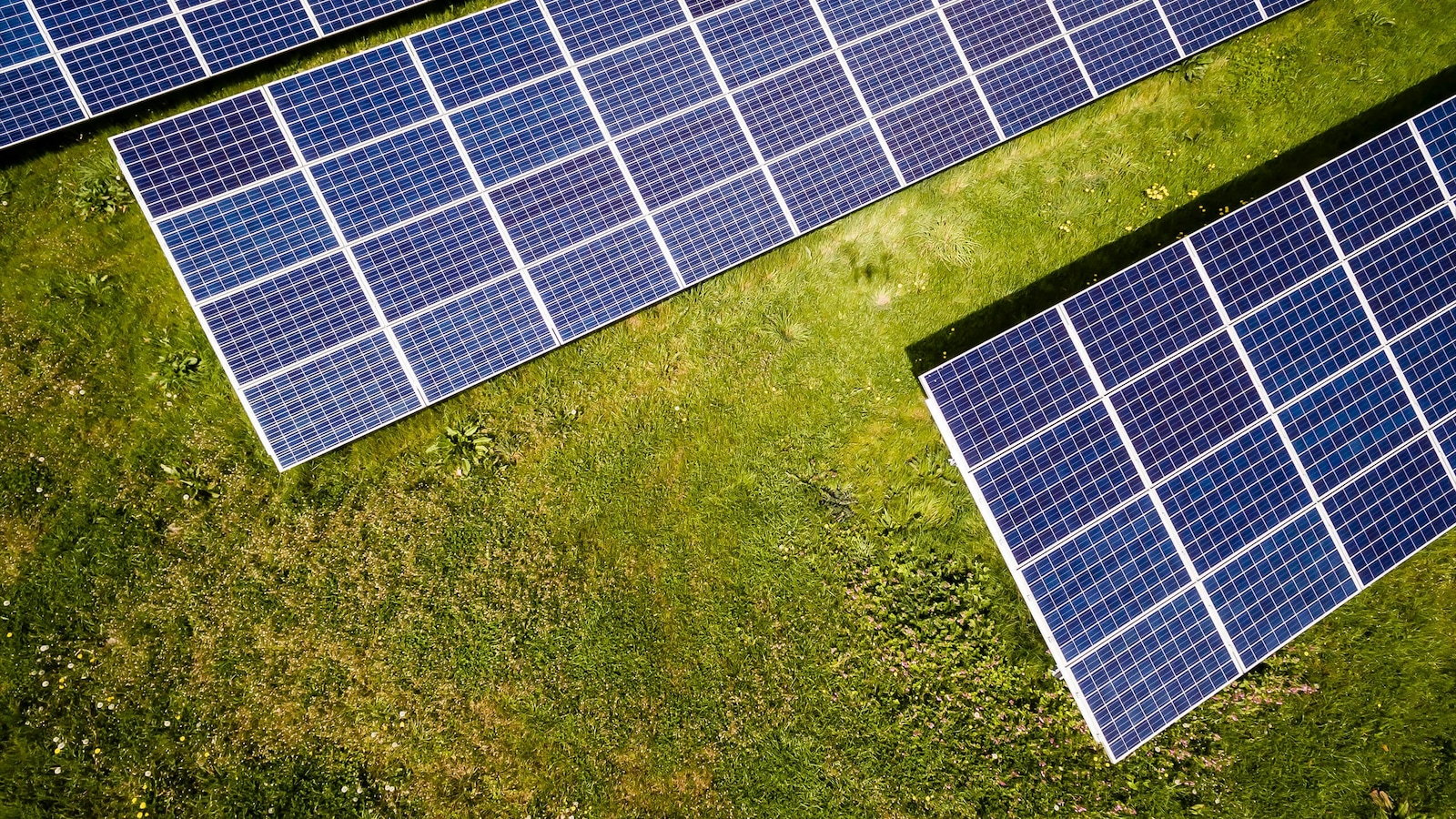 Waaree Energies Shares Rise 1% After 800 MW Solar Module Order Win