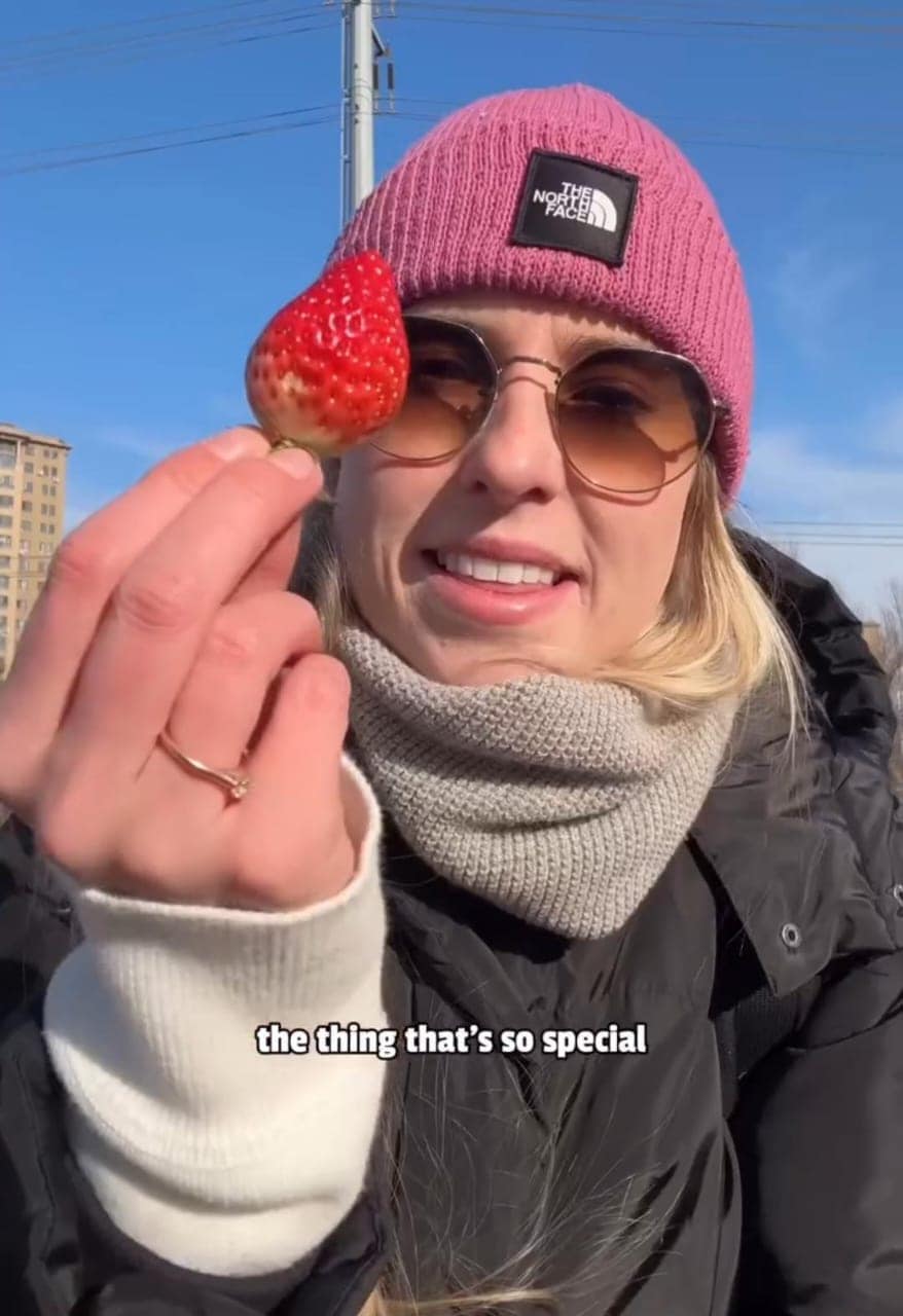 Chinese Strawberries | Know All About Chinese Strawberries at NDTV Food