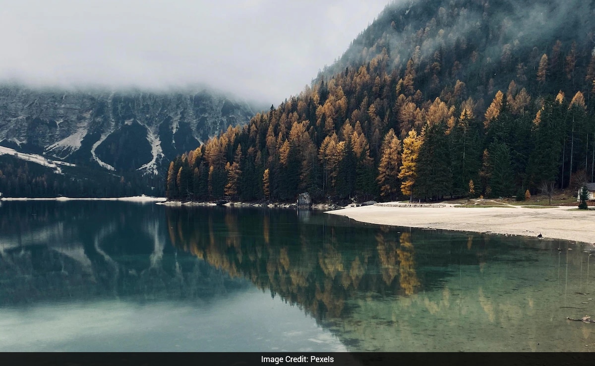 Scientists Discover 5,200-Year-Old Boat In US Lake, Revealing Details ...