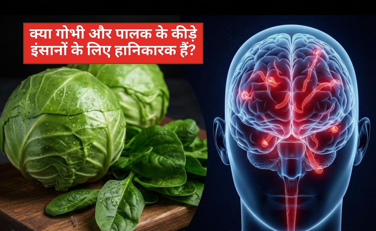 पालक और पत्ता गोभी के कीड़े पेट में जाने से क्या होगा? | how-to-prevent ...