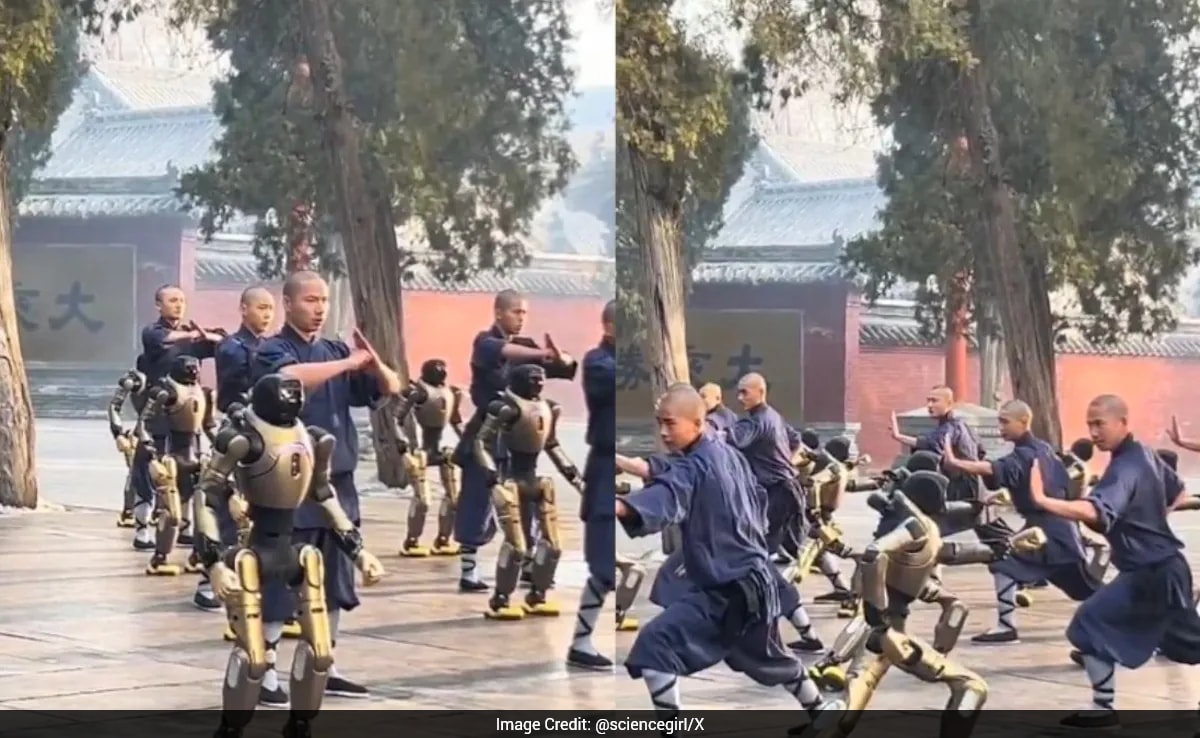Watch: Robots Join Monks For Kung Fu Practice At China's Shaolin Temple