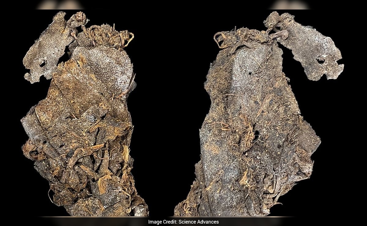 Archaeologists Find 12,000-Year-Old Animal Skin That Could Be The ...