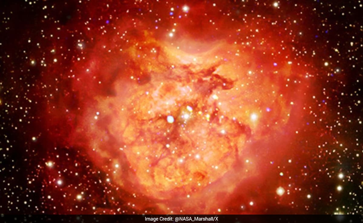 NASA Shares Heart-Shaped Nebula Image To Mark Valentine's Day