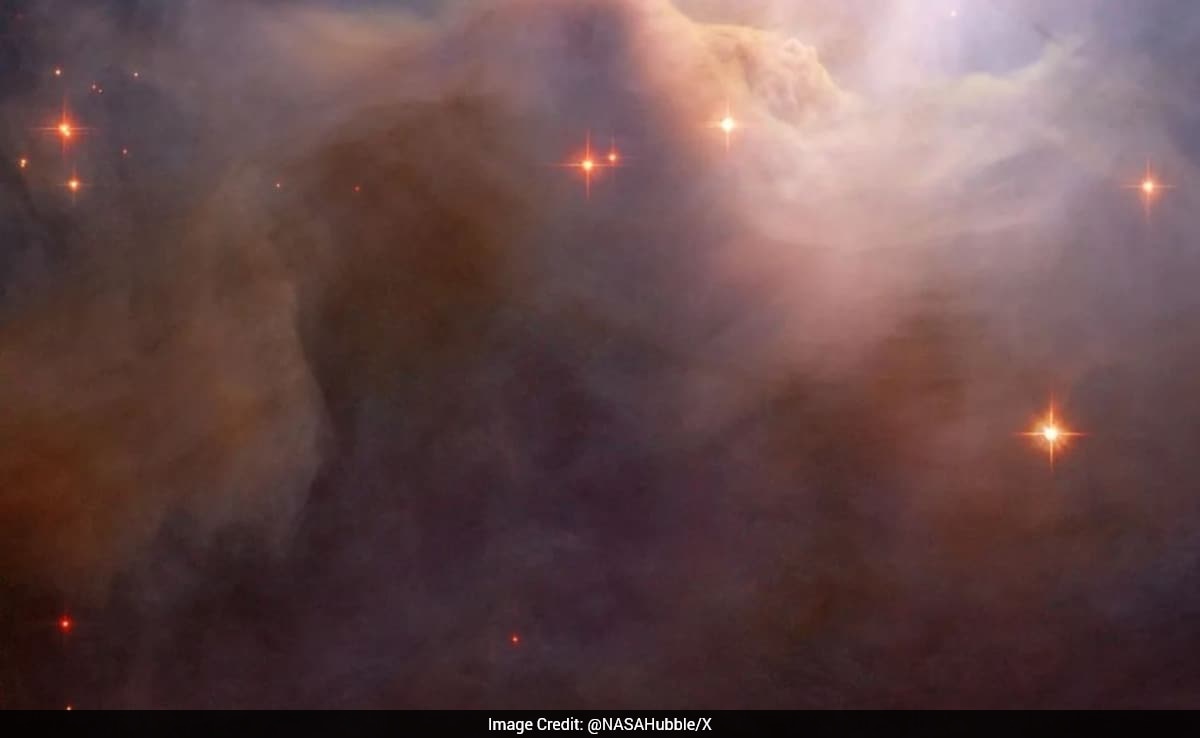 NASA Shares Stunning Image Of Iris Nebula, A Blue And Pink "Flower" In ...