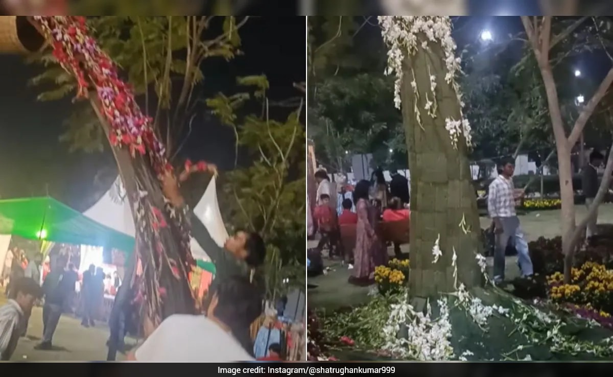 Watch: Public Loot Flowers At Noida Flower Show, Internet Calls Them ...