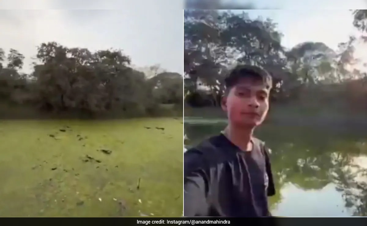 Watch: 20-Year-Old Cleans Ajnar River Alone, Wins Praise From Anand ...