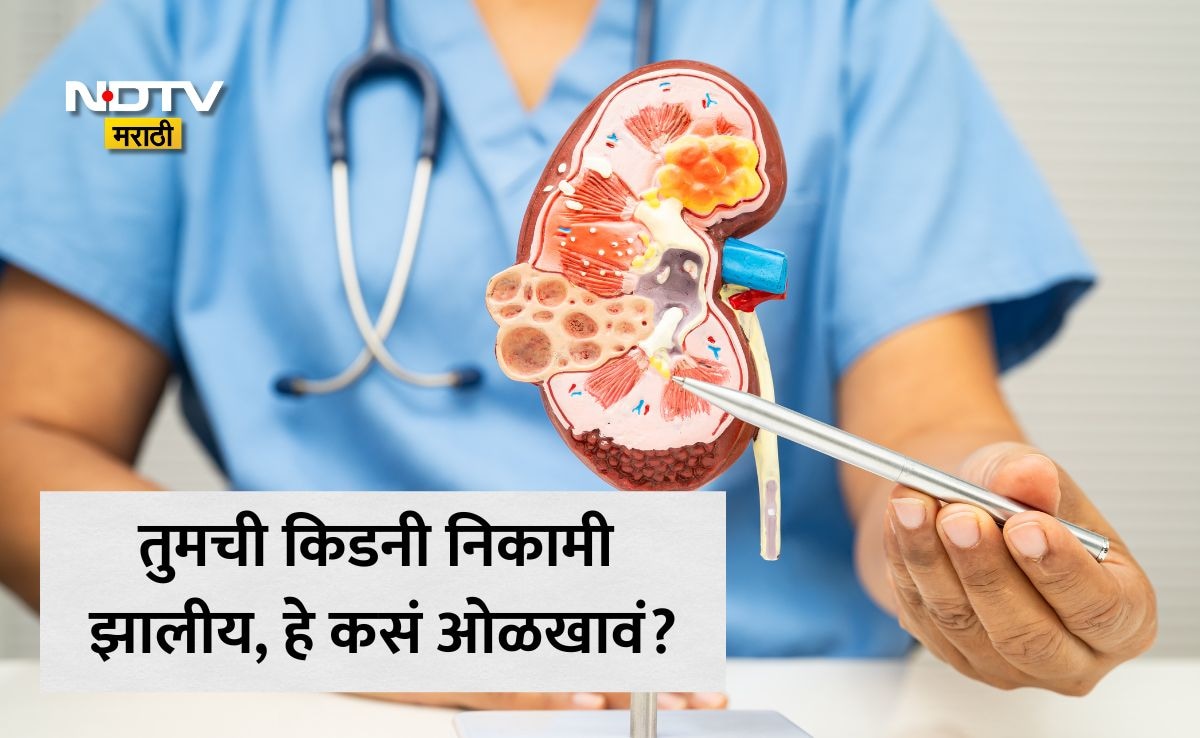 how do you know if your kidneys are working properly or not What are ...