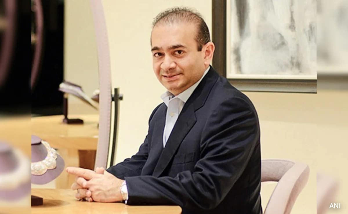 Fugitive diamond merchant Nirav Modi Tells UK Court He Faces 'Real Risk ...