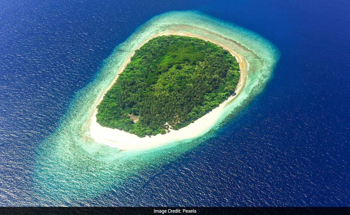Researchers Mistook Newly Found Island In Antarctica's Danger Zone For ...