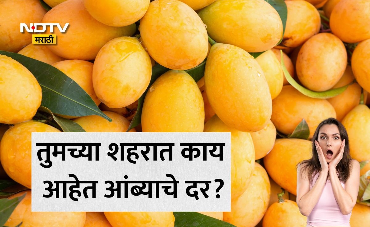 mango price news hapus mango rate maharashtra pune navi mumbai ...