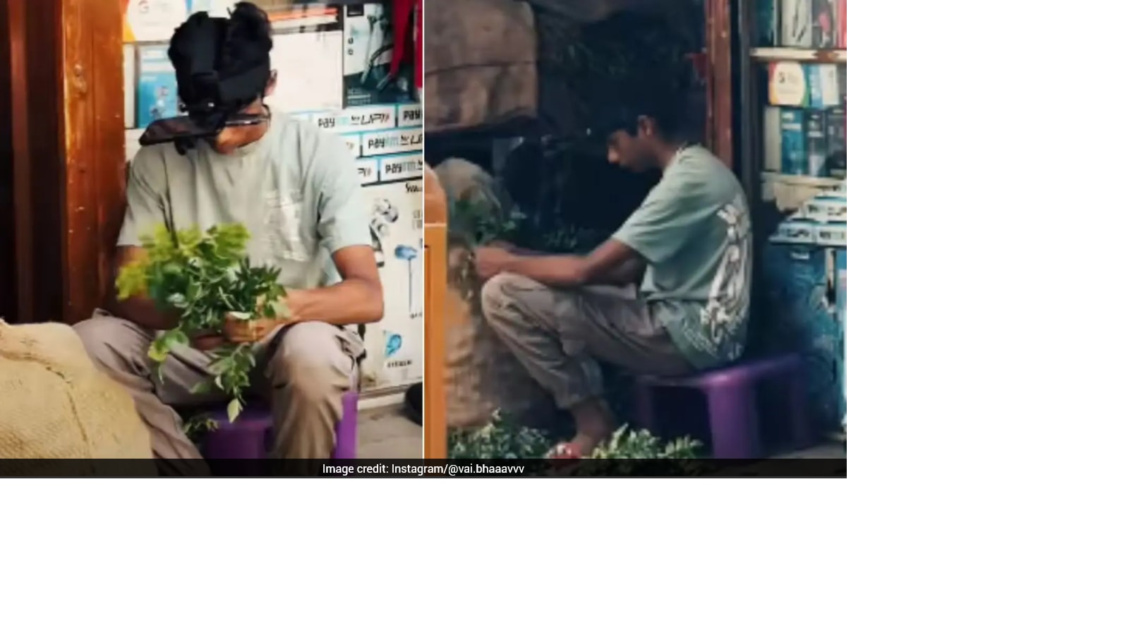 Vegetable Vendor In Bengaluru Uses AI Data Collection Gear, Earns "Rs ...