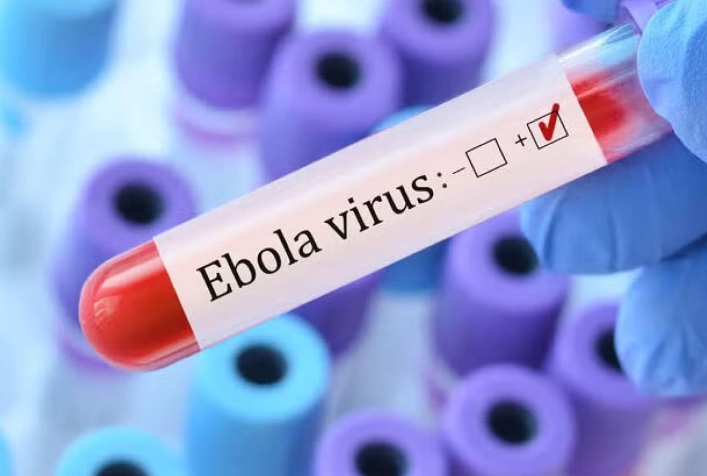 India Issues Ebola Advisory: Zero Cases Reported, High Vigilance Urged