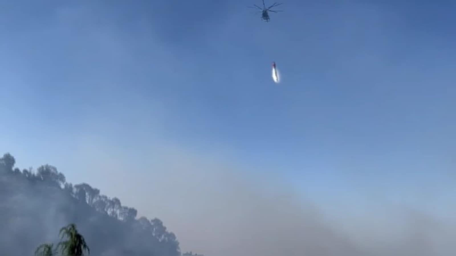 Himachal Forest Fire News Forest Near Kasauli Air Force Station On Fire ...