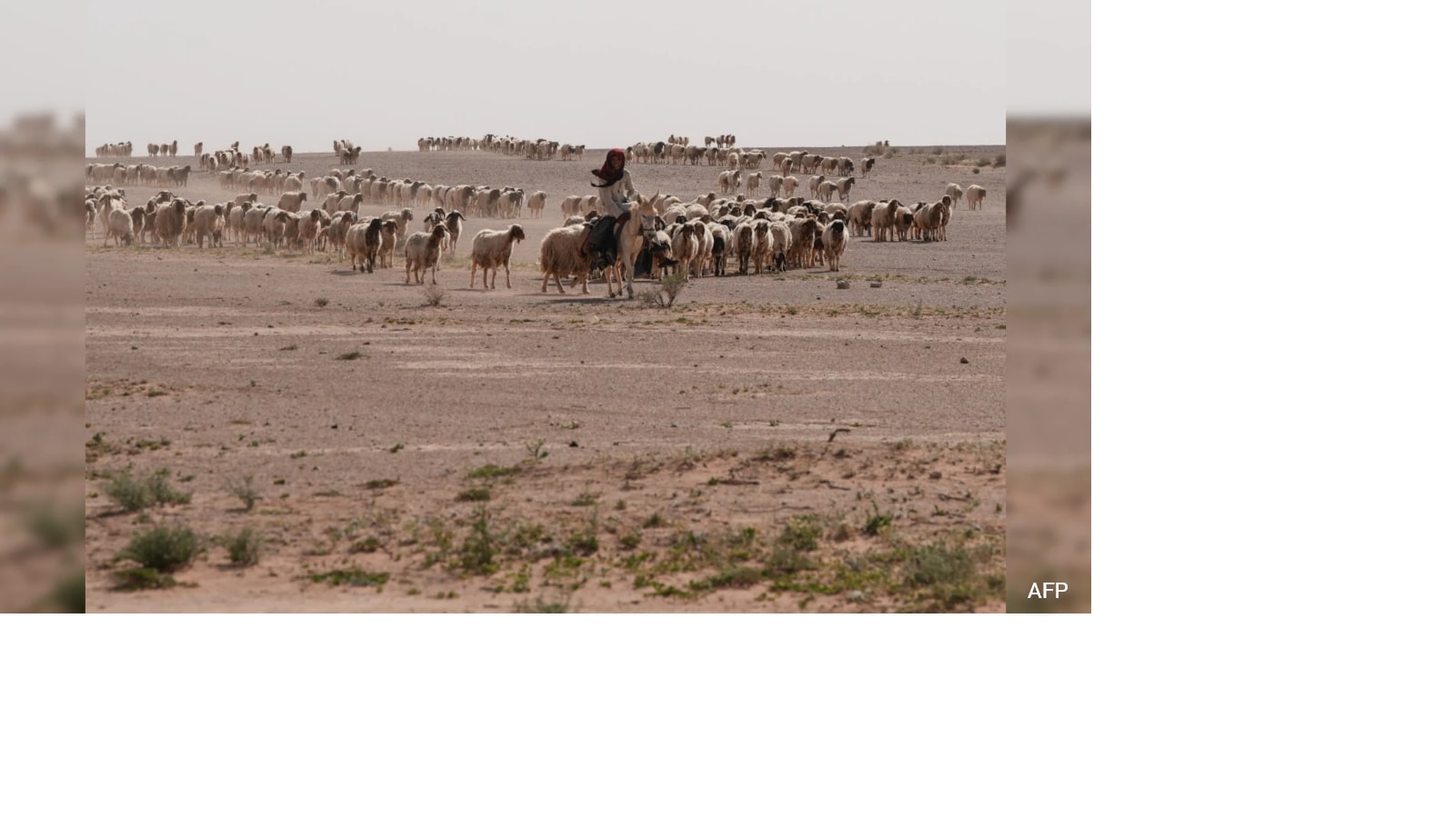 How A Shepherd Uncovered Two Israeli Outposts In Iraq Before Being Killed