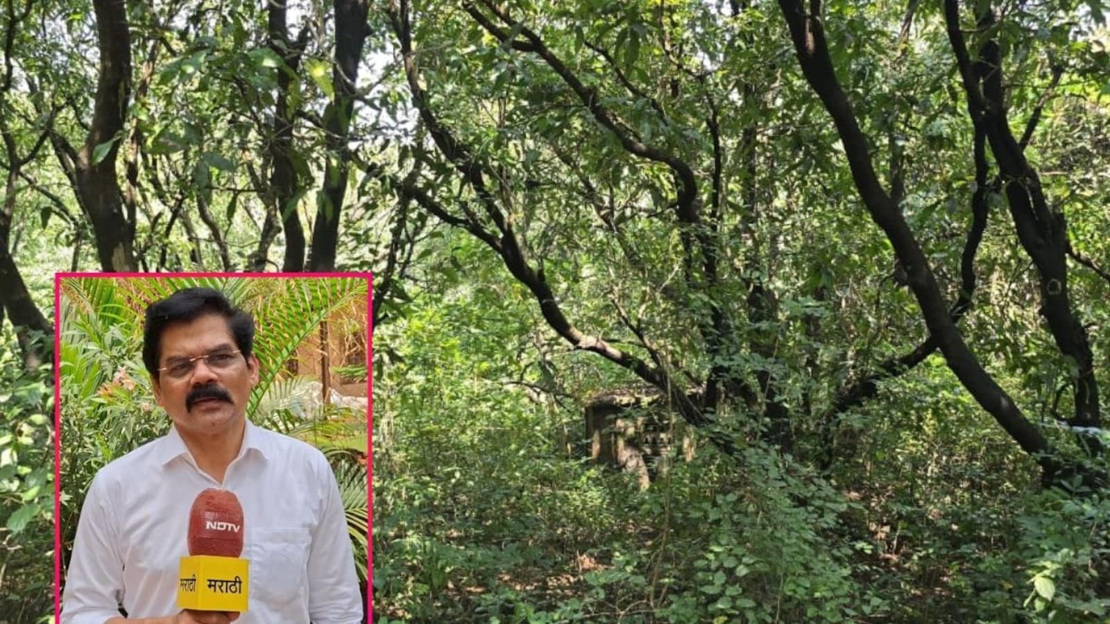 Ratnagiri Bird Sanctuary Help Foundation Chiplun Demands Bird Sanctuary ...