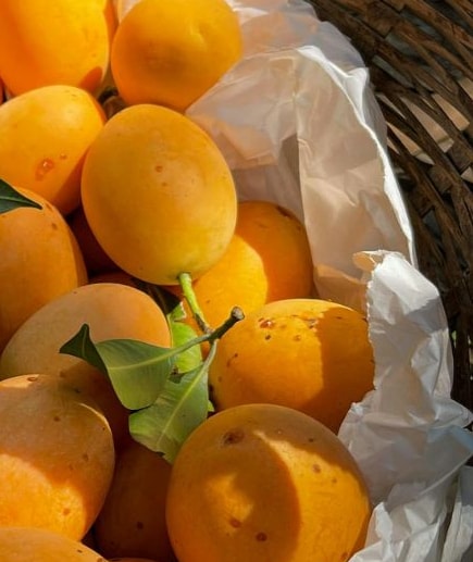 Alphonso Mango | Know All About Alphonso Mango at NDTV Food