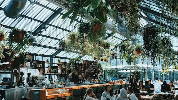 Delhi NCRs Best New Restaurant Openings To Try In May-June 2026 - NDTV Food