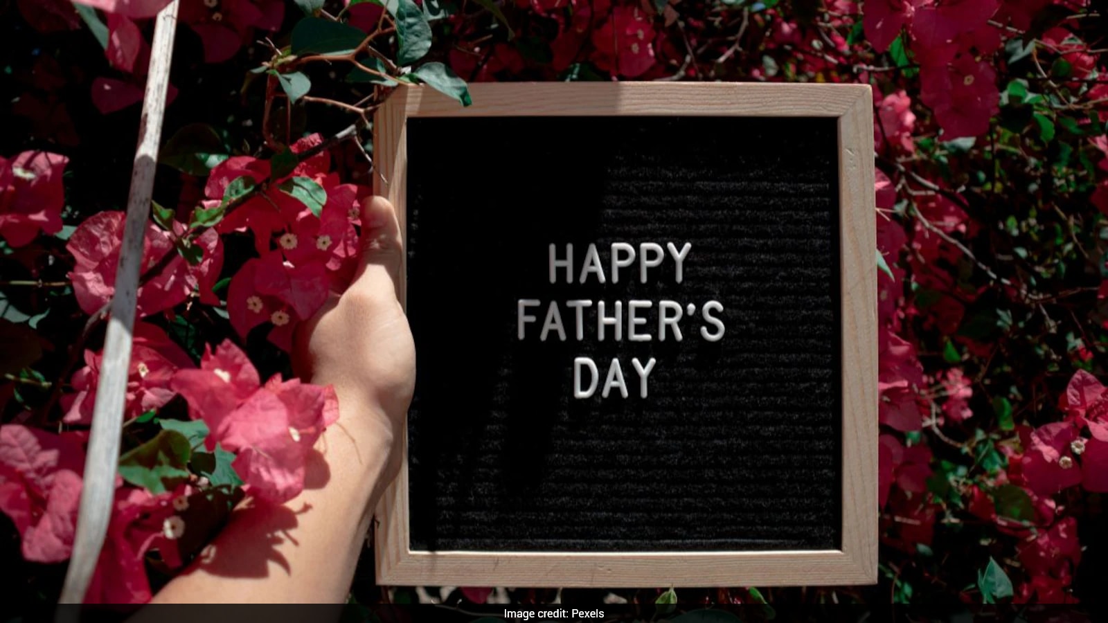 Father's Day Through Literature: Quotes From Top Authors And Books
