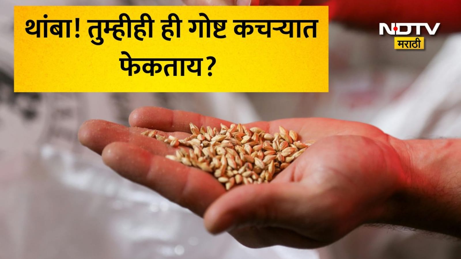 muskmelon seeds health benefits and nutrition facts kharbuja seeds for ...