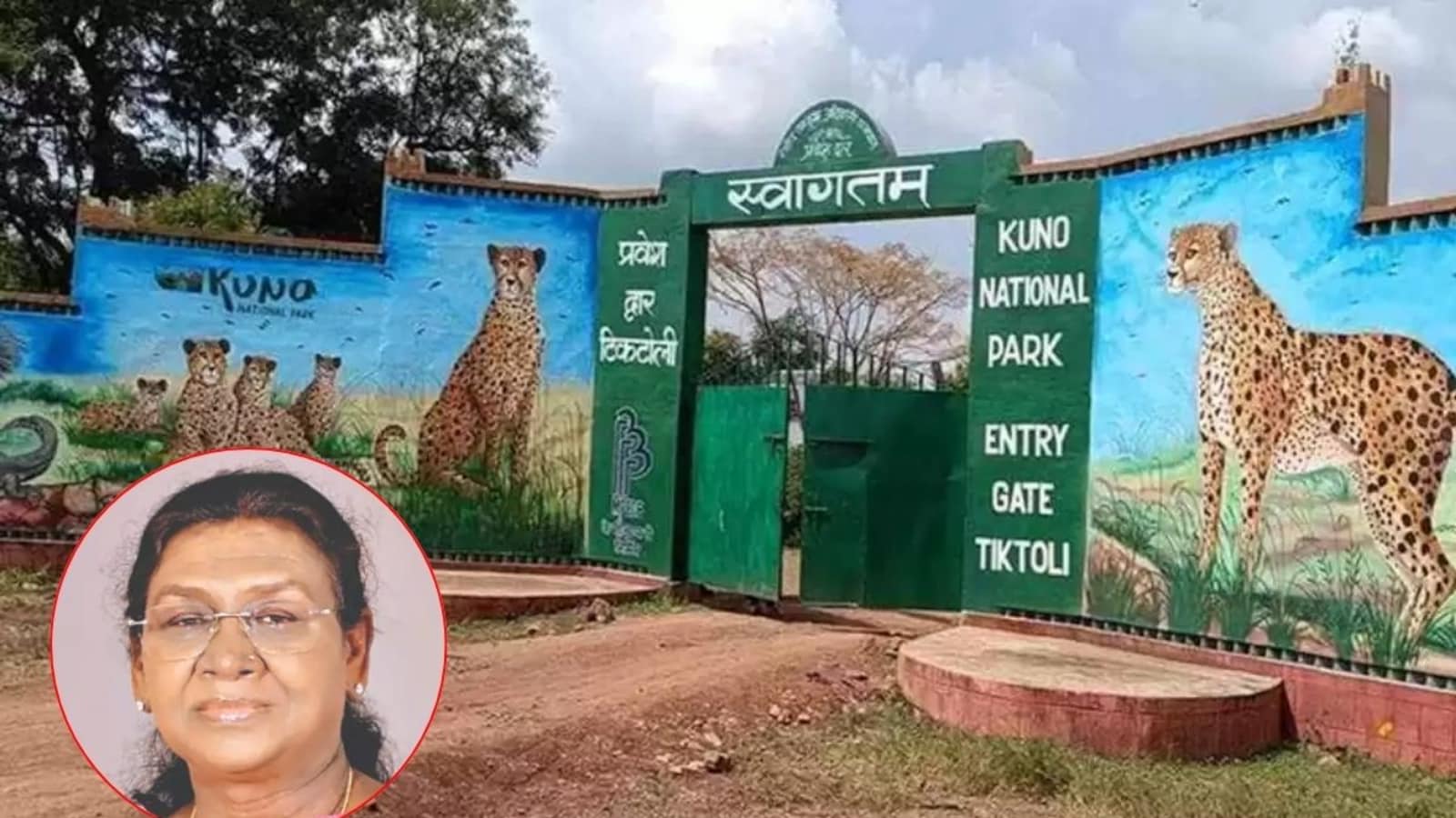 चीतों से घिरे कूनो नेशनल पार्क में रात गुजारेंगी राष्ट्रपति दौपदी ...