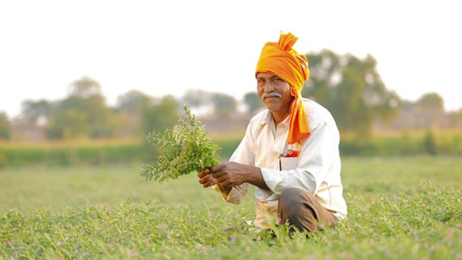 अब खाद के लिए नहीं लगानी पड़ेगी लाइन, घर बैठे ऐप से बुक होगा यूरिया ...