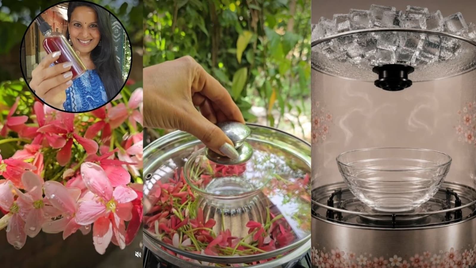 घर पर फूलों से परफ्यूम या इत्र कैसे बनाएं? बस दो इंग्रीडिएंट्स की होगी ...