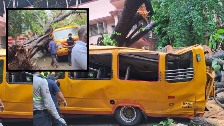 Mumbai News massive tree collapsed onto a school bus in Chembur 1 ...
