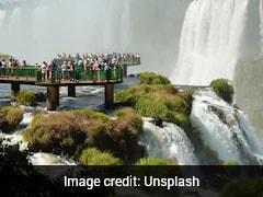 Phone Slips Near 262-Foot Waterfall, Tourist Takes Risky Plunge To Find It