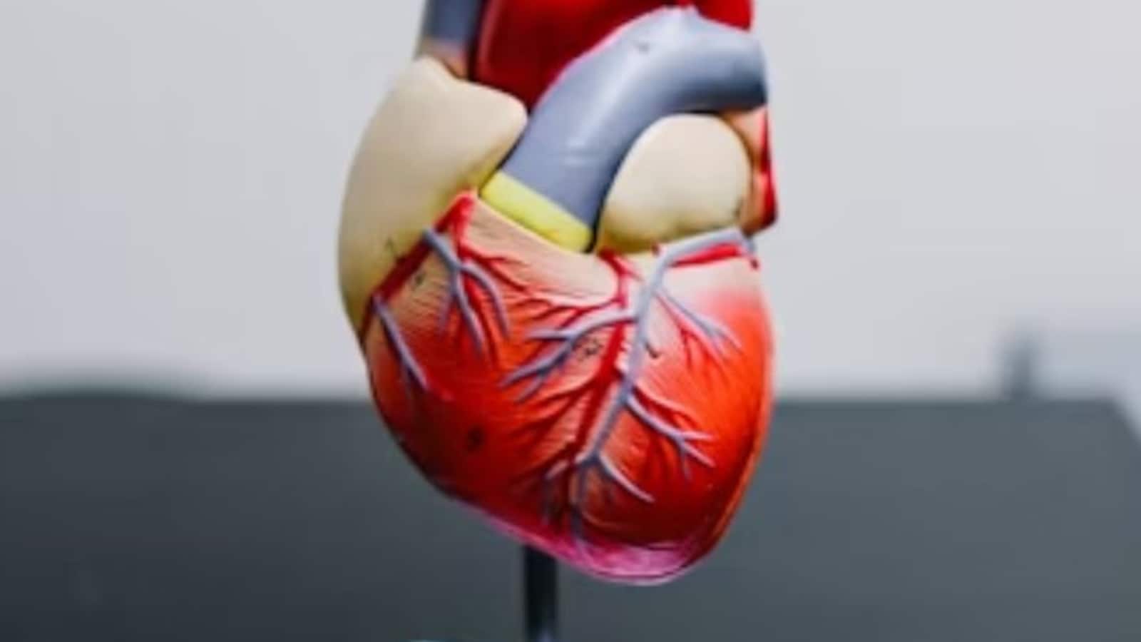 Early Signs Of Heart Disease That You Should Know
