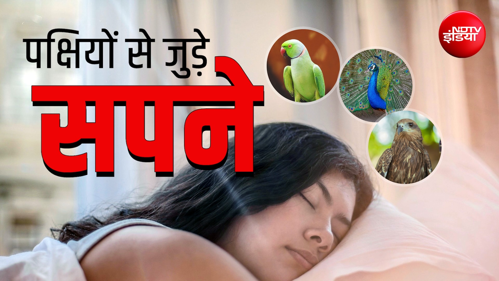 Swapna Shastra: सपने में मोर से लेकर गरुण तक नजर आए तो जान लीजिए आने ...