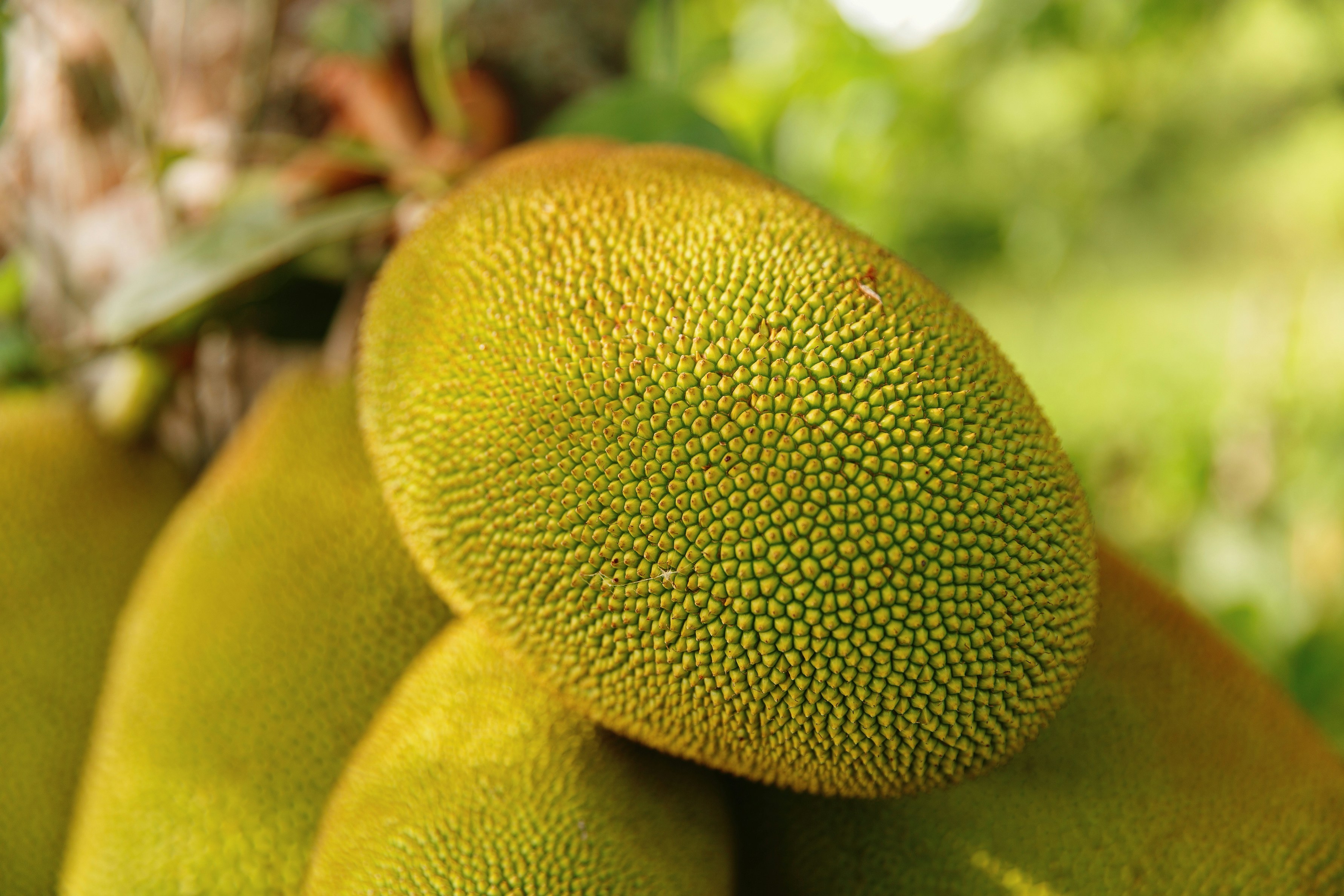 Food News, Cooking Articles, Food and Nutrition Facts