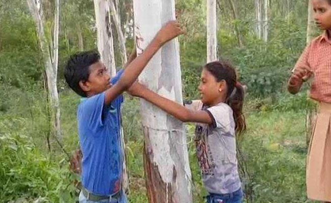 Rakhis And Hugs For Trees As Noida Protests Destruction Of Its Green Belt
