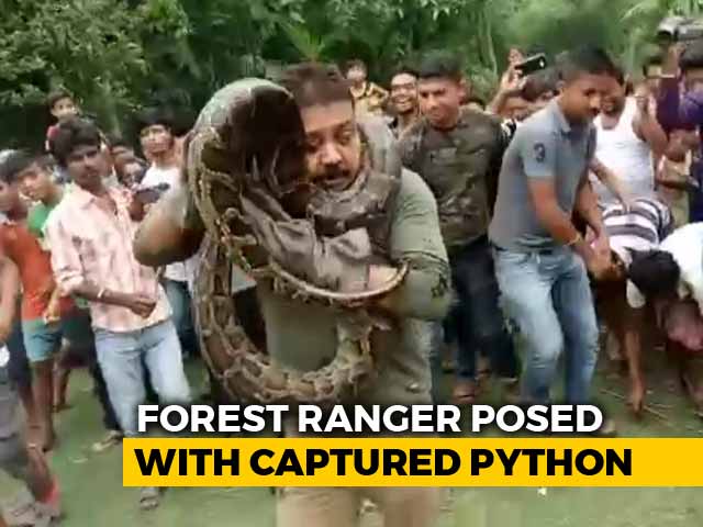 "Hold The Tail, Hold The...": Selfie Fail With Python Caught On Camera