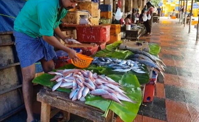 Formalin Scare Hits Fish Markets In Assam; Kerala, Northeast Cautious