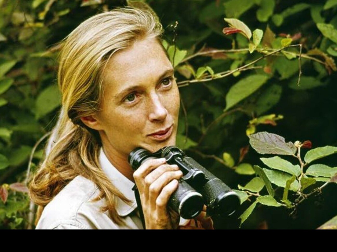 10 Greatest Women Scientists