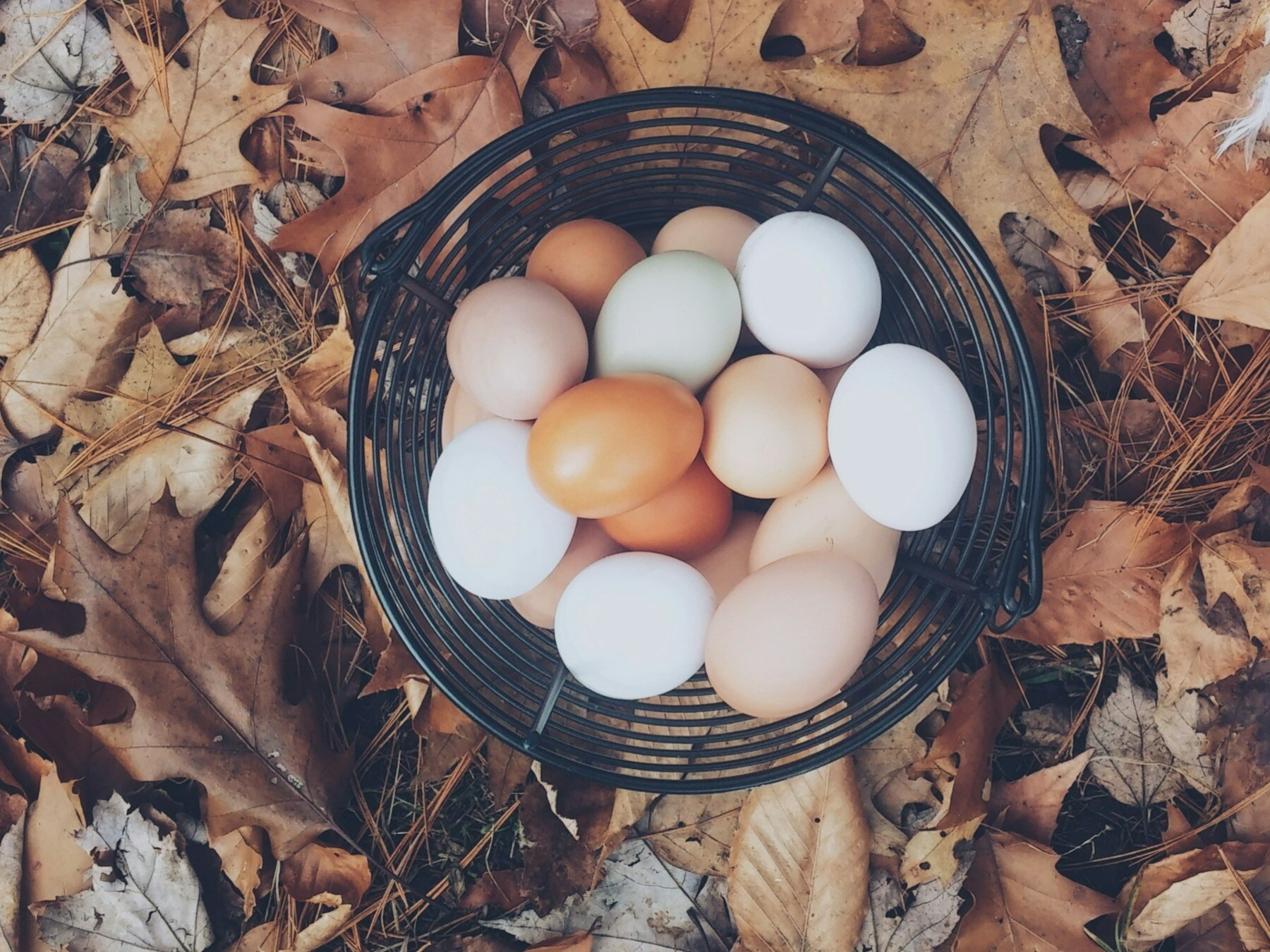 5 Foods You Should Avoid Consuming With Eggs