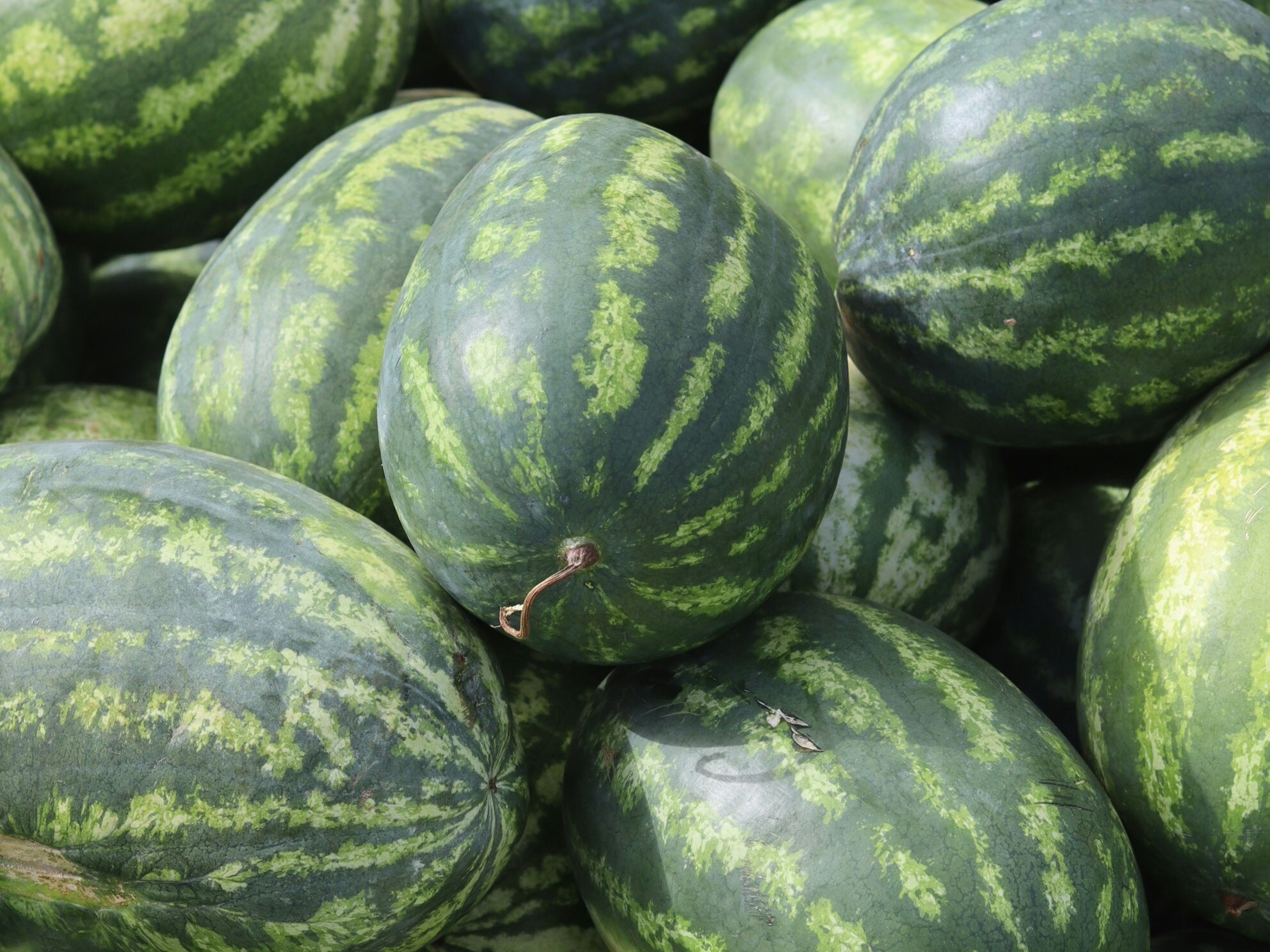 5 Simple Ways To Spot A Fake Watermelon Before You Buy